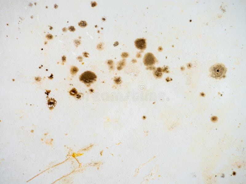Brown Mold on White Bathroom Enamel. Bacteria House Concept Stock Photo ...