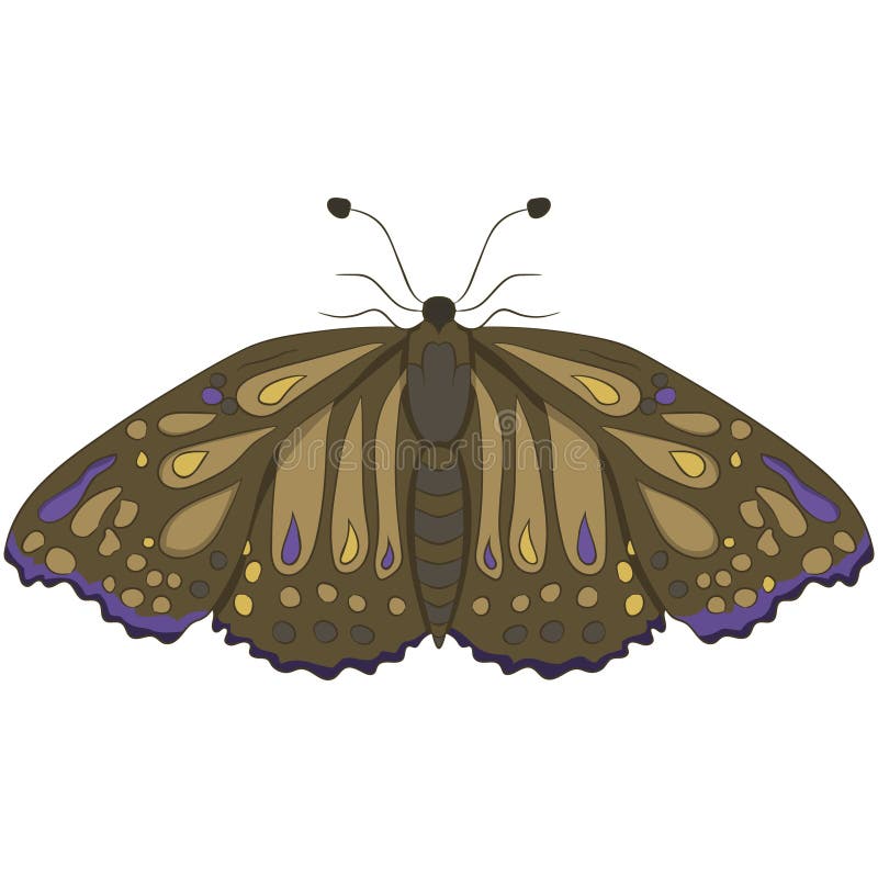 Brown Moth. Vector Illustration. Drawing by Hand. Stock Vector ...