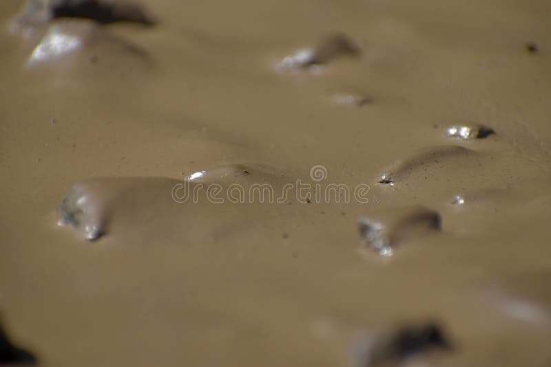 The Brown Mud Shines in the Sun Stock Image - Image of detail, shining ...
