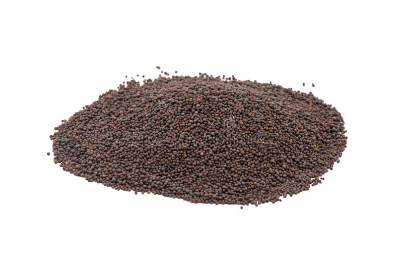 Brown Mustard Seeds Also Know As Rai Spice on White Background Stock ...