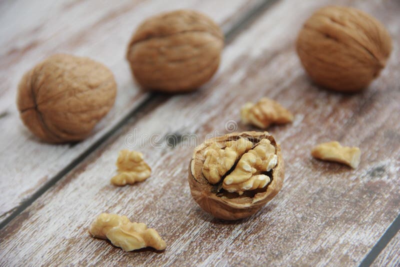 Brown Natural Walnut in a Hard Shell Stock Photo - Image of nutshell ...