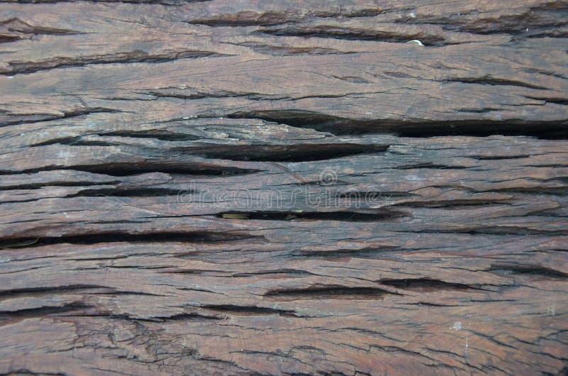 Brown Natural Wood Grain Texture Stock Photo - Image of natural, grain ...