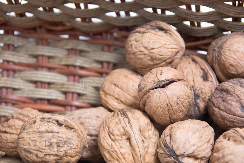 Brown nuts stock photo. Image of snack, nuts, health - 22522252