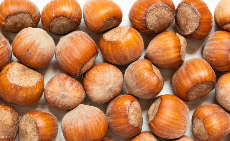 Brown Nuts with Shell Background . Stock Photo - Image of fruit, vegan ...
