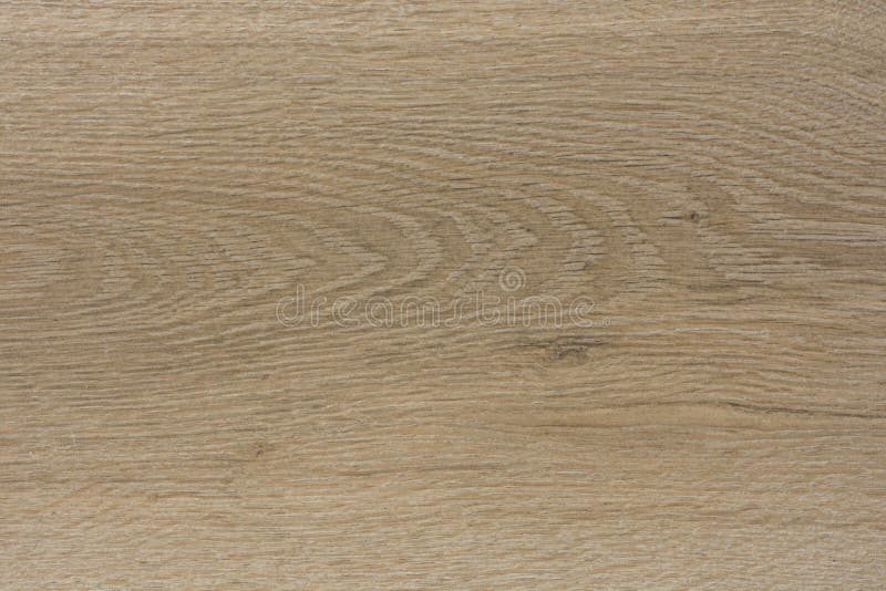 Brown oak wood texture stock photo. Image of plank, wood - 246859808