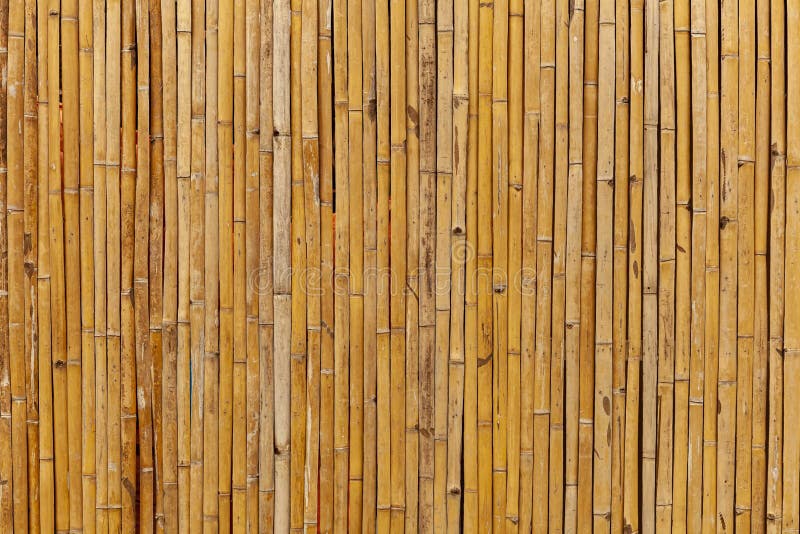 Old Bamboo Fence Texture and Background Seamless Stock Photo - Image of ...