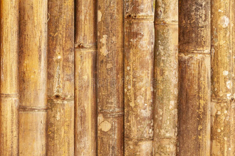 Old Bamboo Fence Texture and Background Seamless Stock Photo - Image of ...