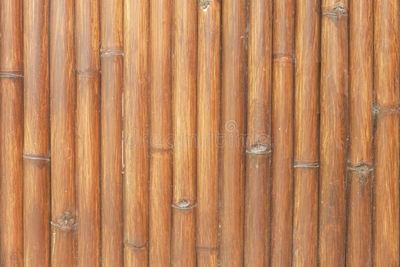 657 Bamboo Fence Seamless Texture Stock Photos - Free & Royalty-Free ...