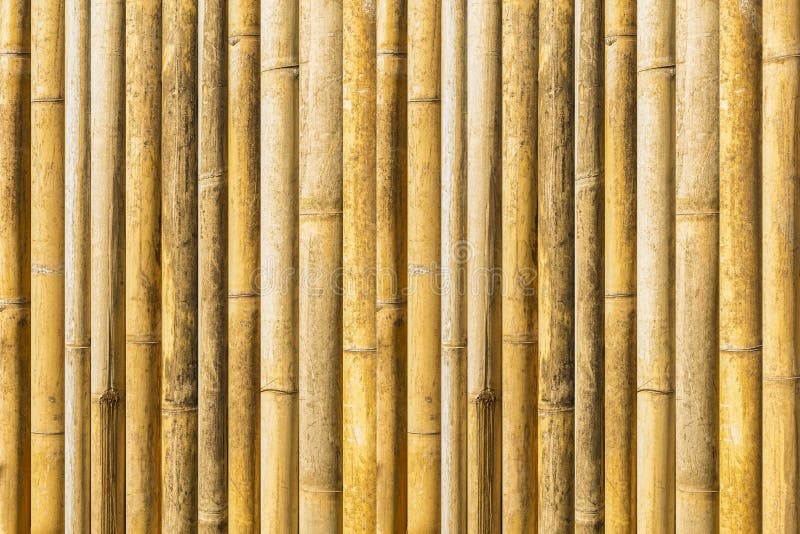 Old Bamboo Fence Texture and Background Seamless Stock Image - Image of ...