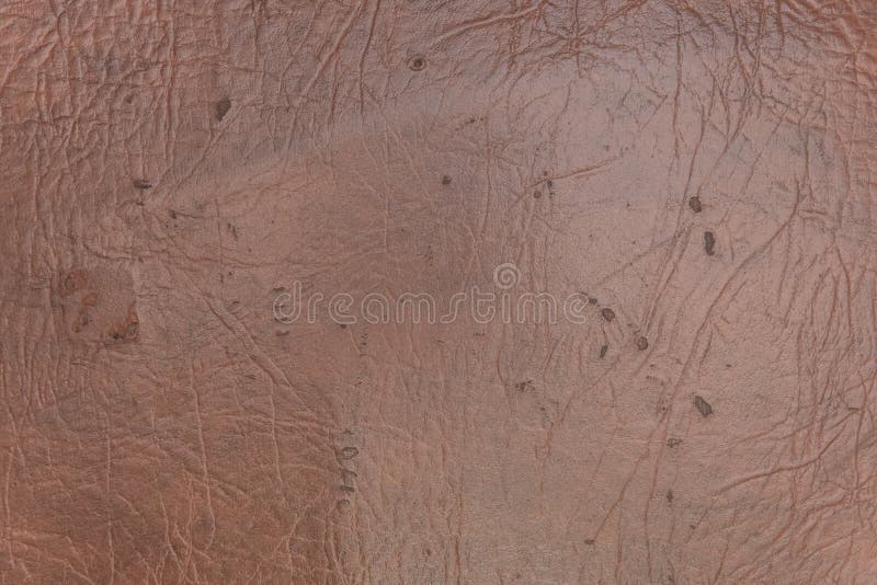 Brown Old Leather Torn Ripped Material Surface Texture Vintage Worn ...