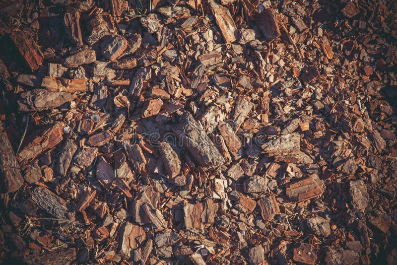 Brown Old Tree Bark Lies on the Ground Stock Photo - Image of hard ...