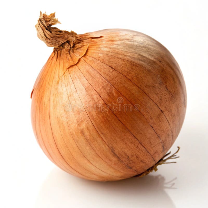 Brown Onion Isolated on Background Stock Illustration - Illustration of ...