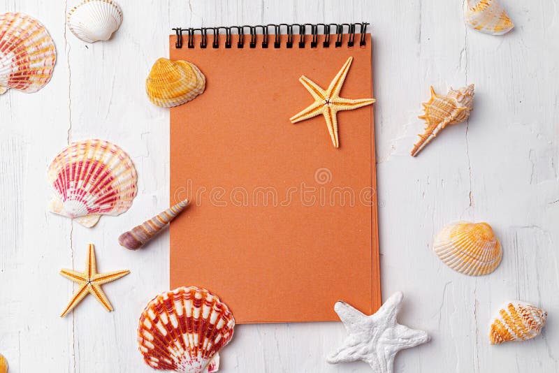 Summer Shells Brown Wood Table Background. Stock Image - Image of brown ...