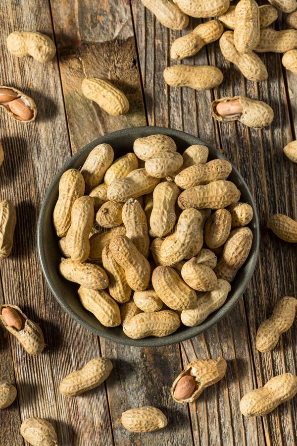 Brown Organic Raw Peanuts stock photo. Image of organic - 318242020