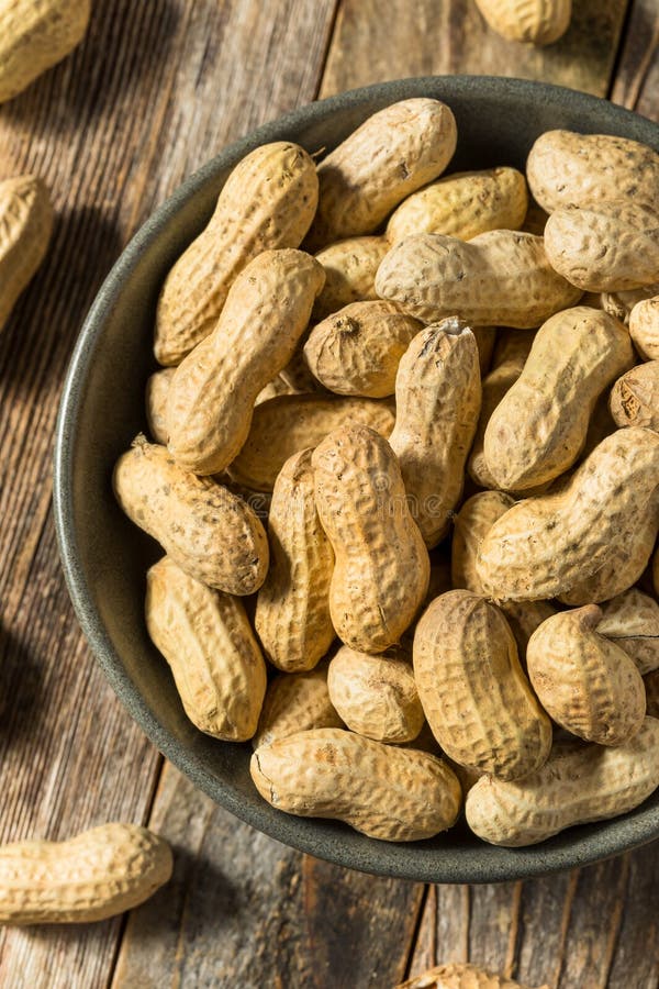Brown Organic Raw Peanuts stock photo. Image of shell - 318242028