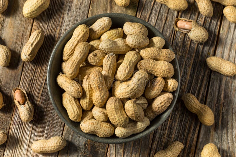Brown Organic Raw Peanuts stock photo. Image of brown - 318242062