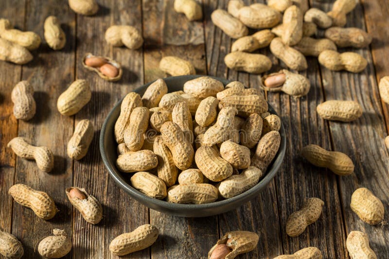 Brown Organic Raw Peanuts stock photo. Image of nutshell - 318243332