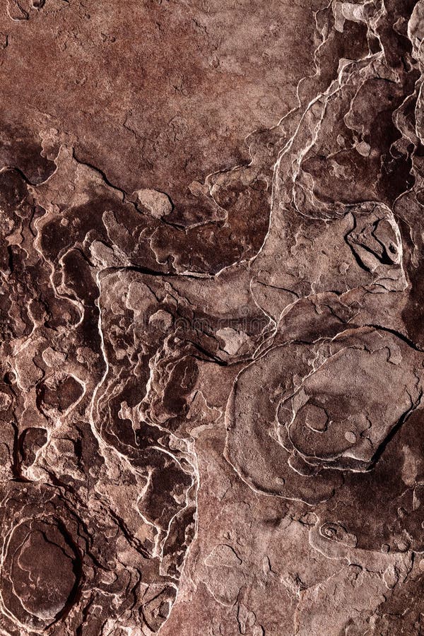 Brown Organic Stone Texture and Background Stock Image - Image of ...