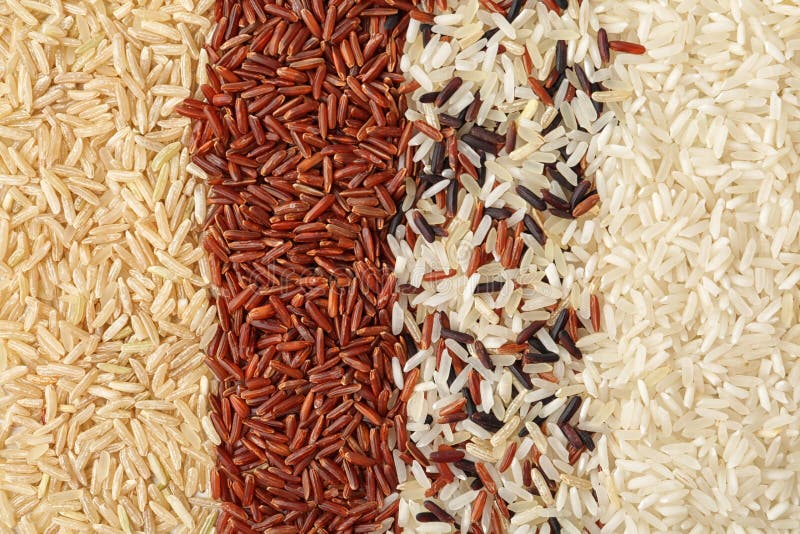 Brown and Other Types of Rice As Background Stock Photo - Image of ...