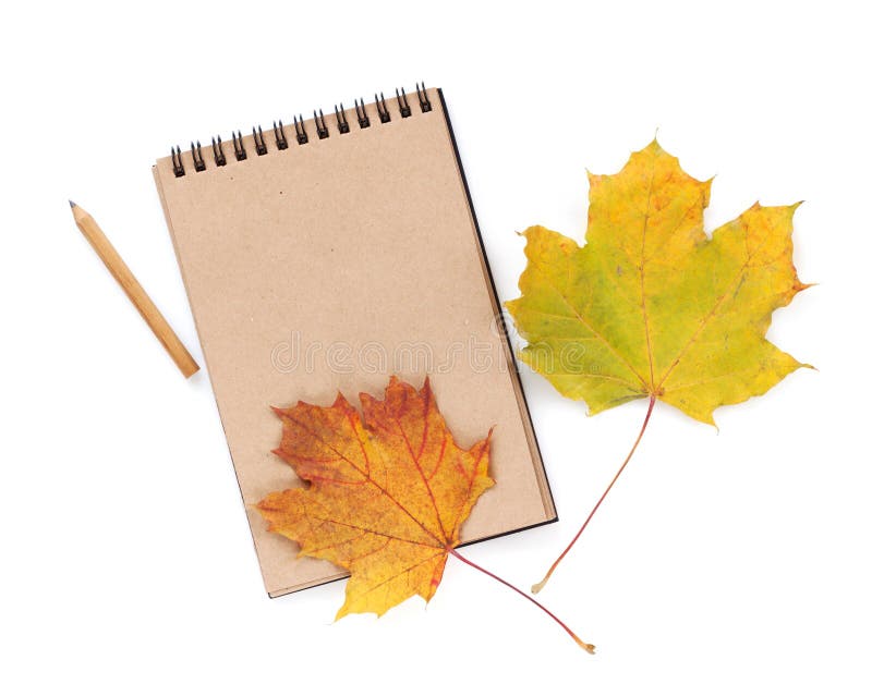 Vintage Brown Paper Texture Stock Photo - Image of ancient, cardboard ...