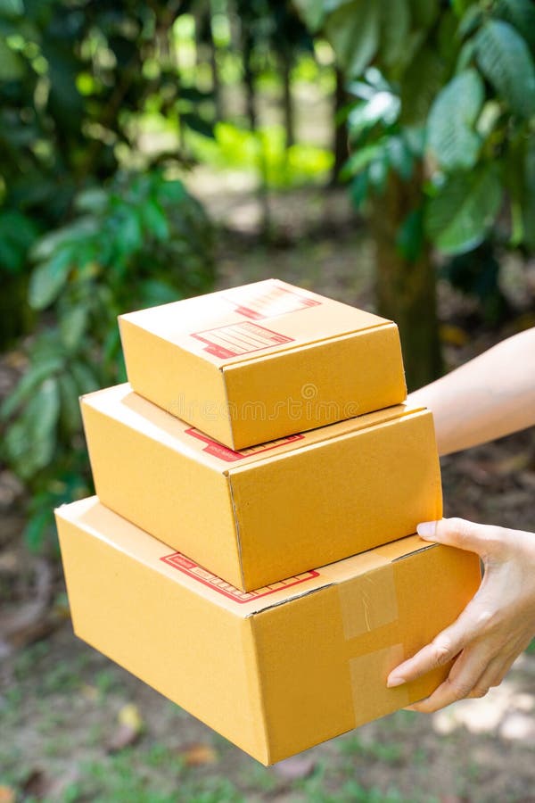 Brown Parcel Box for Shopping Online Stock Image - Image of package ...