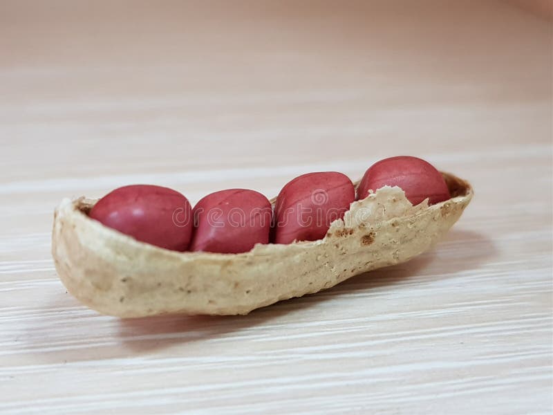 Peanut with shell stock image. Image of open, harvesting - 104854727