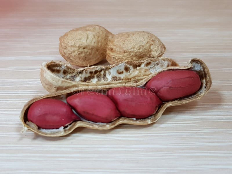 Peanut with shell stock image. Image of group, nutshell - 104854901