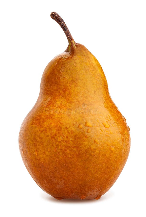 Brown pear stock photo. Image of water, food, studio - 181700768