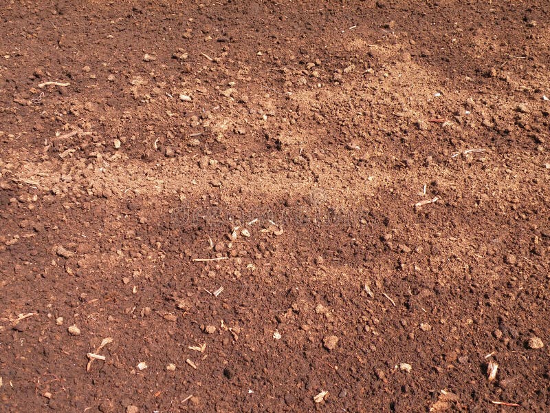 Brown peat texture stock image. Image of surface, nature - 66451627