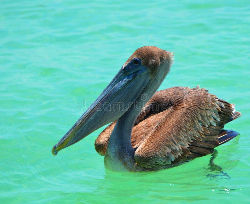 Anna Maria Island Large Art Stock Photos - Free & Royalty-Free Stock ...