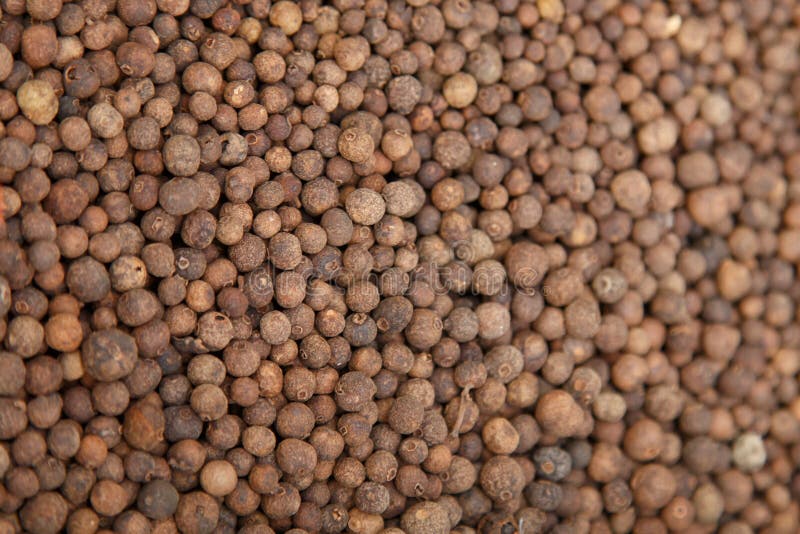 Brown Pepper Mill Isolated on White Stock Image - Image of process ...