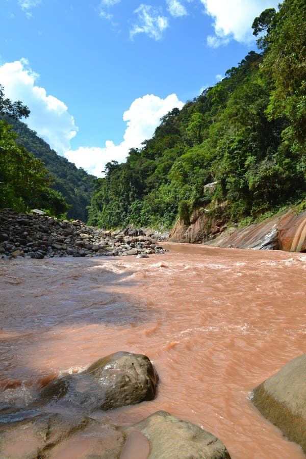Brown Peruvian River stock image. Image of peruvian, amazon - 42754729