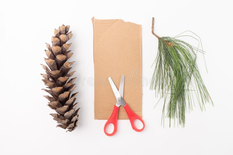 Brown Pine Cone, Elongated with Tight Scales, Top Down View. DIY ...