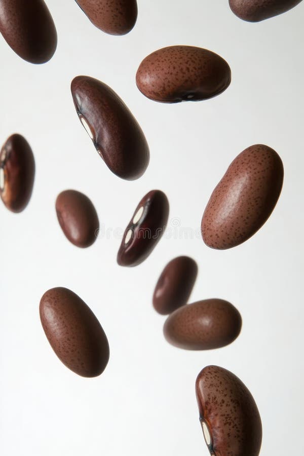 Brown Pinto Beans Falling Against White Background. Stock Photo - Image ...