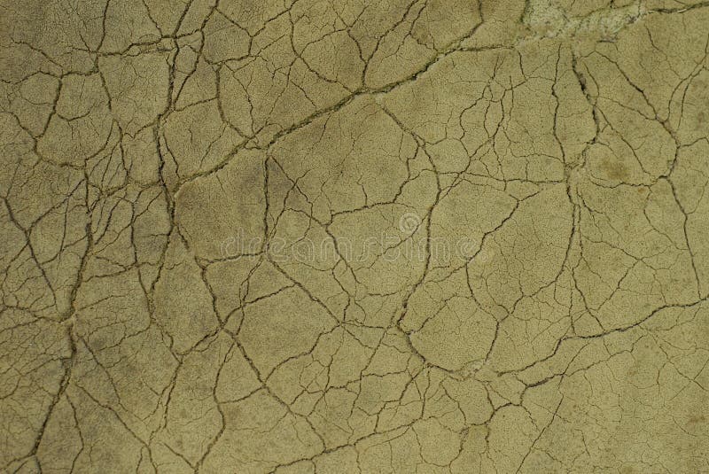 Brown Plastic Texture from a Piece of Brown Old Foam Rubber Stock Photo ...