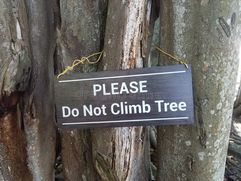 Please Do Not Climb Tree Sign on Rope and Tree and Leaves Stock Photo ...