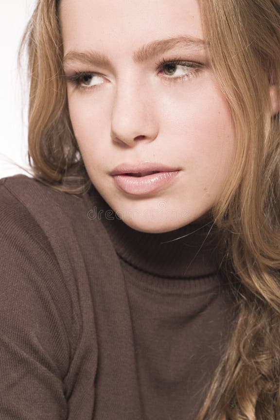 Brown portrait stock image. Image of glamour, portrait - 1798647