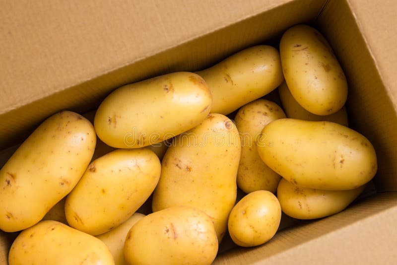 Potato stored in large box stock image. Image of produce - 359905009