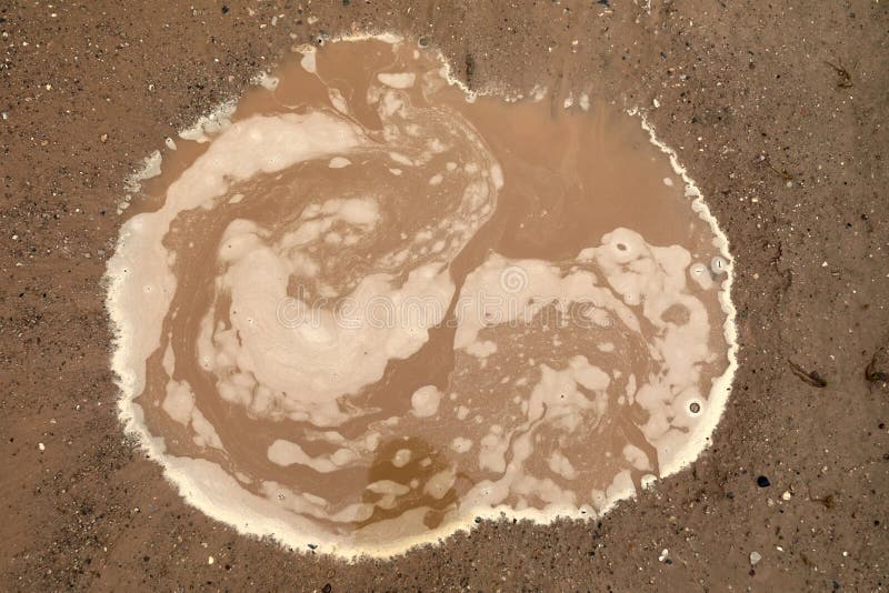 Brown puddle after rain stock photo. Image of area, outdoor - 188487608