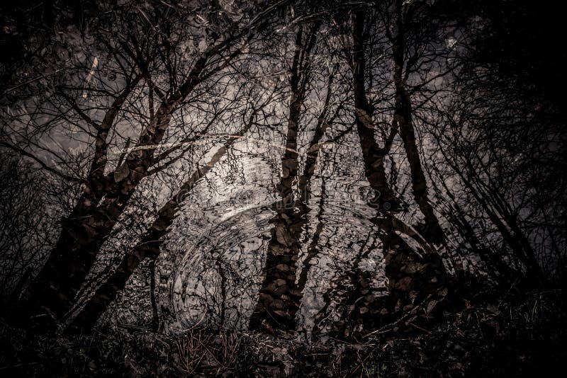 Reflective brown puddle stock photo. Image of enviroment - 181199866