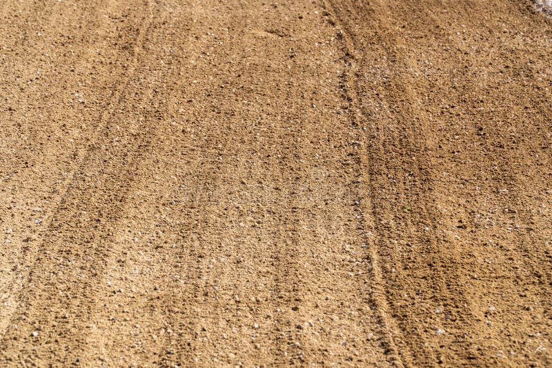 Brown Pupa after Sowing Grass Stock Photo - Image of sand, agriculture ...