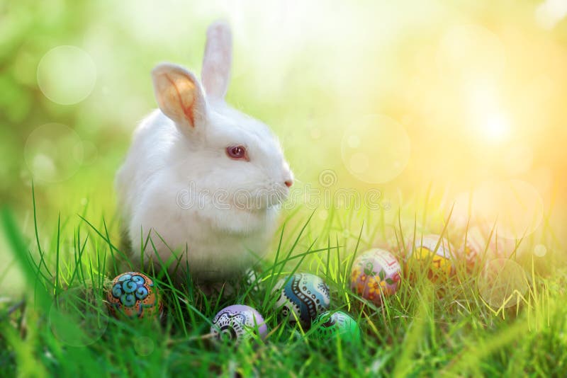 Chris Brown Green Stock Photos - Free & Royalty-Free Stock Photos from ...