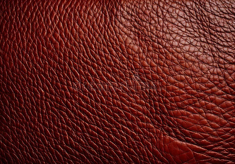 Grainy Sheepskin Stock Illustrations – 2 Grainy Sheepskin Stock ...