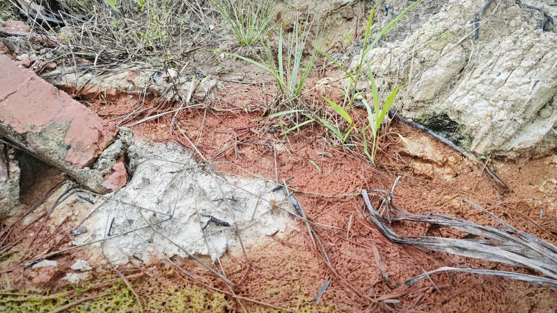 Brown or Reddish Rusty-colored Stains on Dried Puddle Soil Surface ...