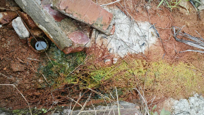 Brown or Reddish Rusty-colored Stains on Dried Puddle Soil Surface ...