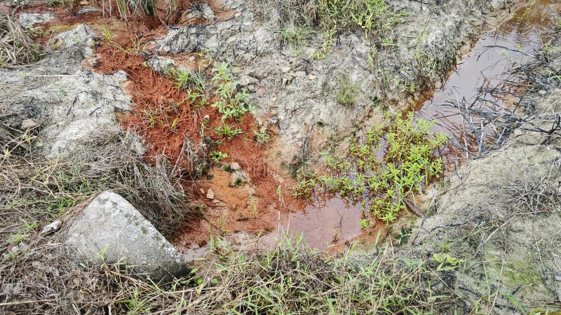 Brown or Reddish Rusty-colored Stains on Dried Puddle Soil Surface ...