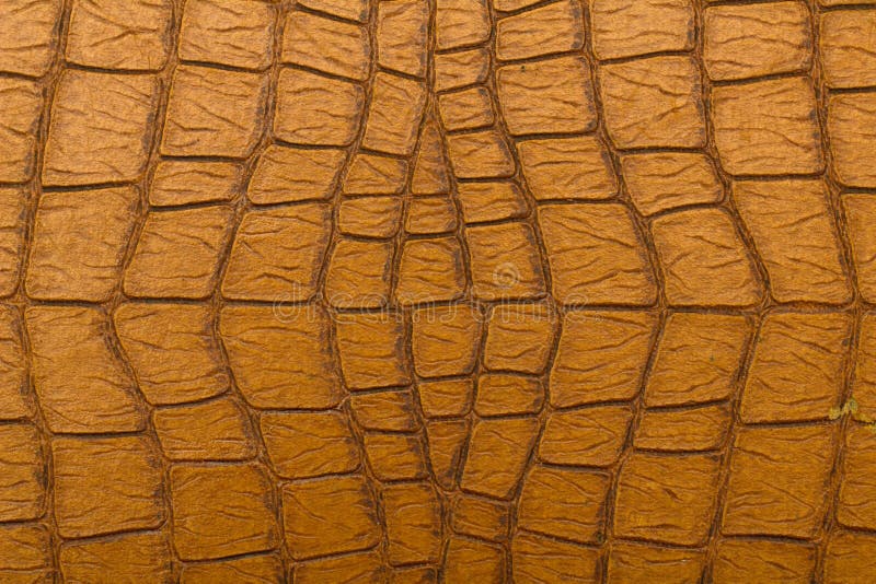 Brown Retro Crocodile Leather Texture Stock Photo - Image of retro ...
