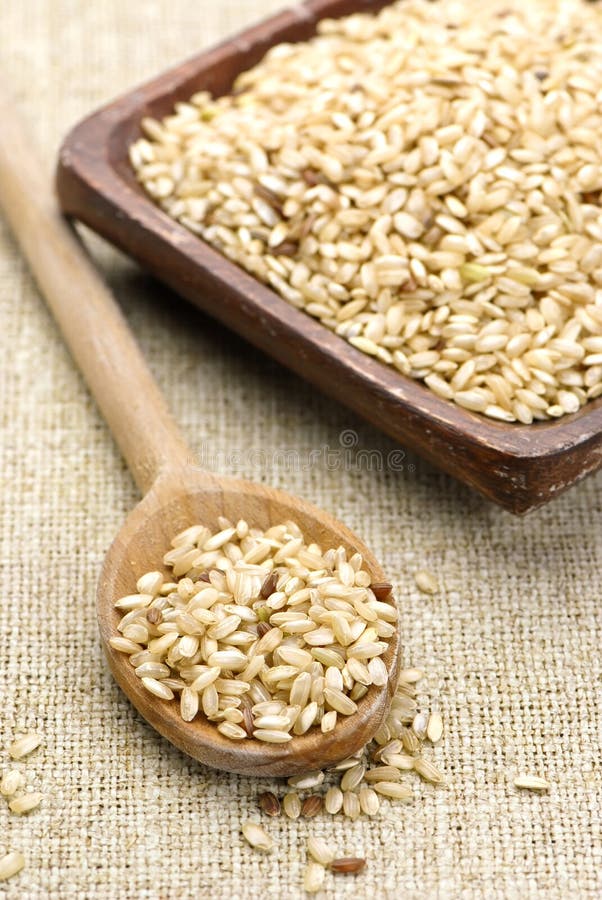 Brown rice stock image. Image of staple, spoon, bowl - 16239657