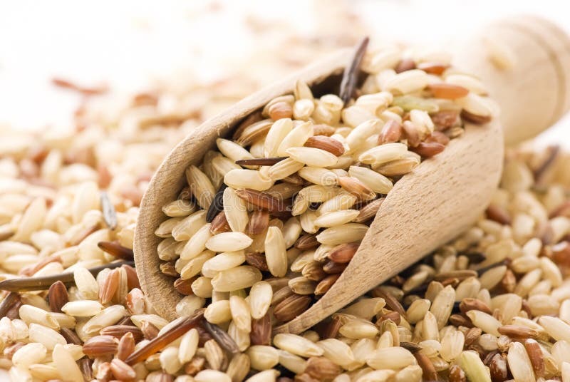 Brown Rice stock image. Image of diet, composition, oryza - 17430277