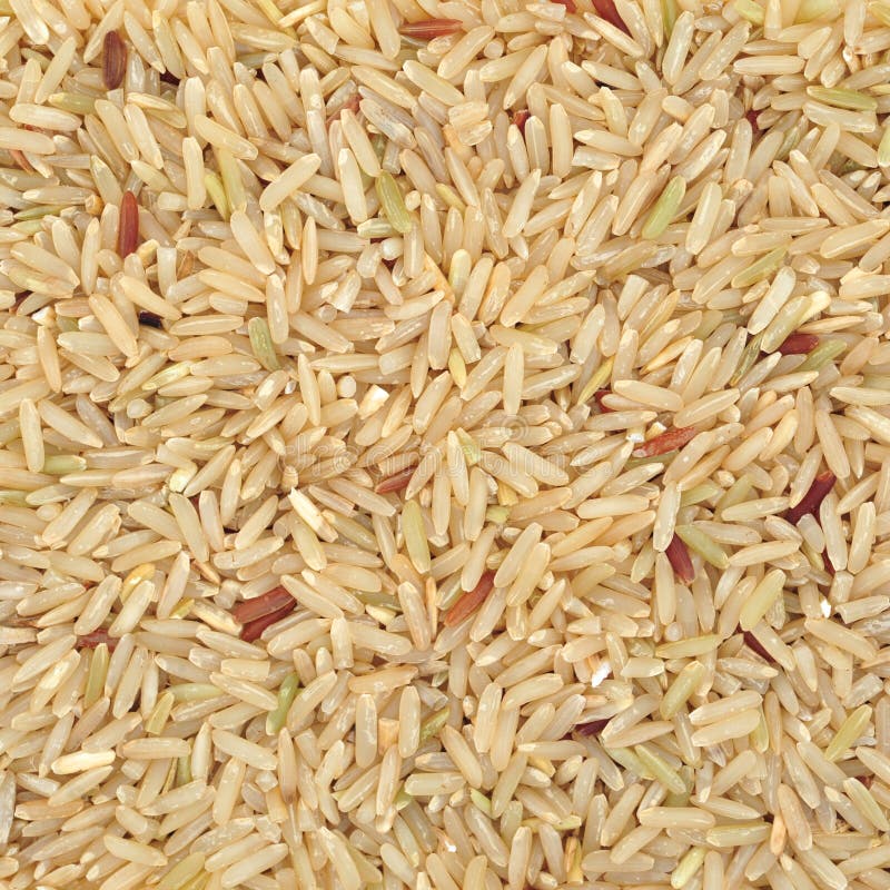 Brown rice stock photo. Image of plant, dietary, grain - 27623128